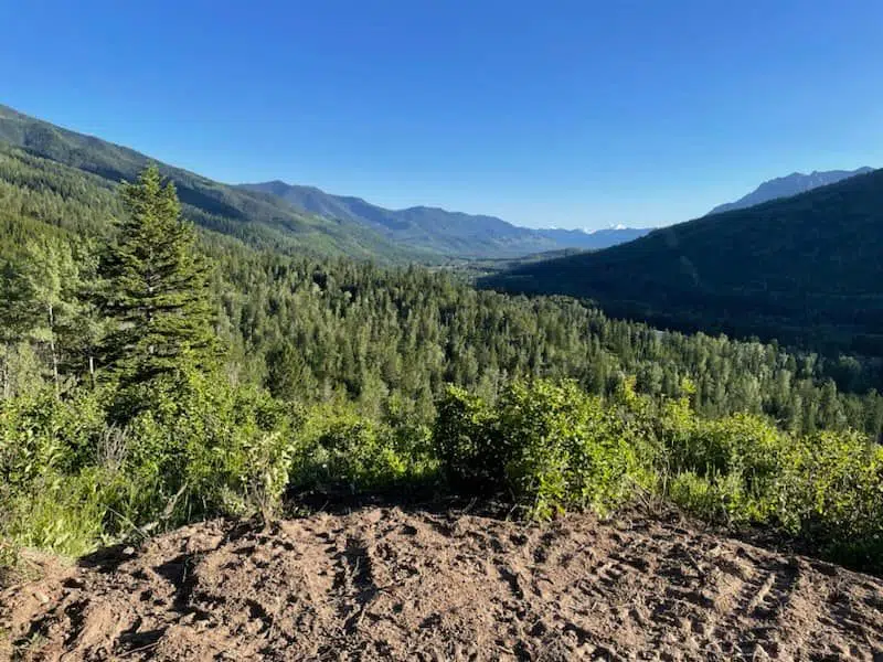 Sparwood Trails Alliance seeing significant progress on new trail builds in Elk Valley | Wild ...
