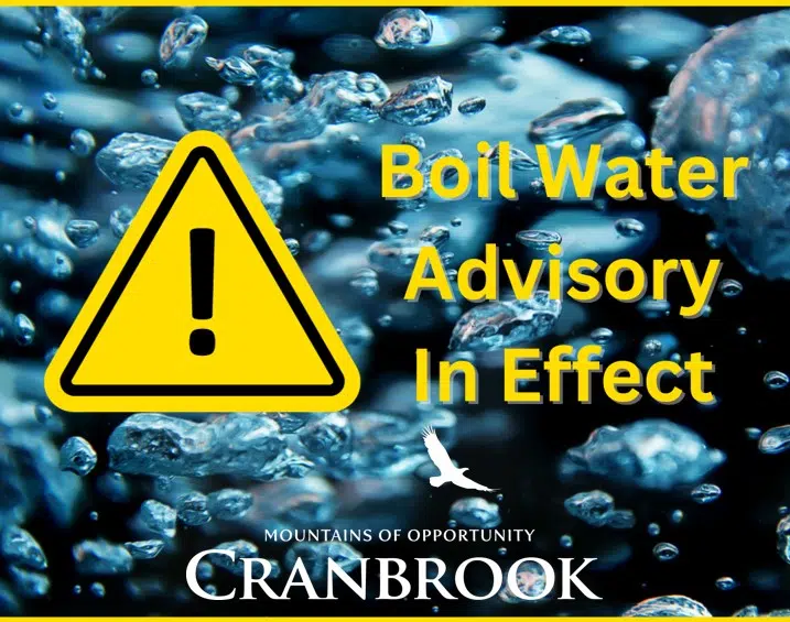 Boil Water Advisory active for north Cranbrook following water trunk ...