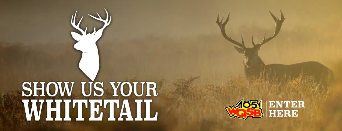 Sand Mountain Broadcasting