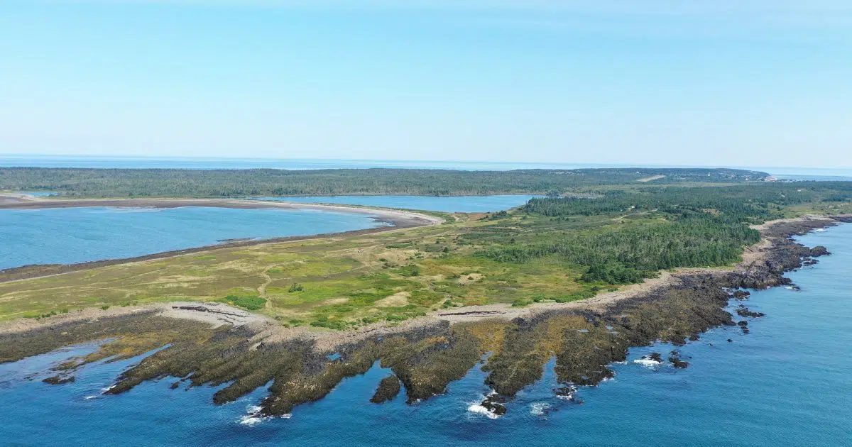 NCC expands nature reserve on Brier Island | Y95.5