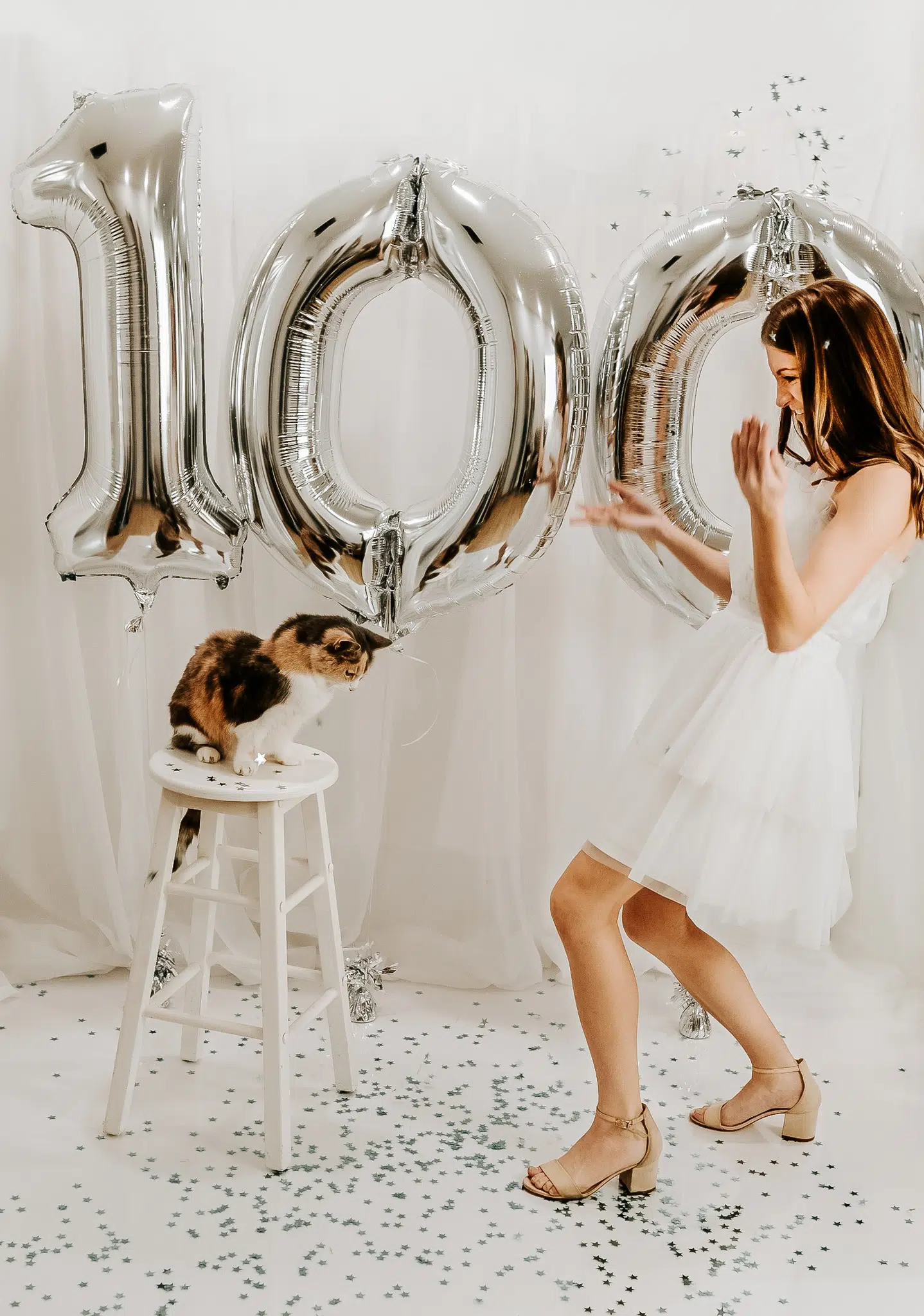 My Grandfather’s Cat Celebrates 100th Adoption | 101.5 The Hawk