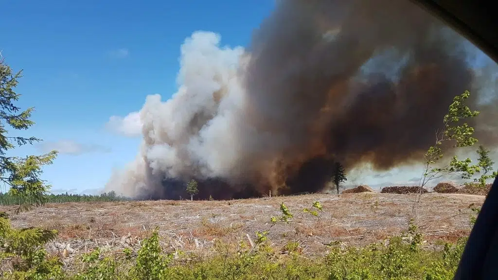 N.B. forest fire season now underway | Country 94