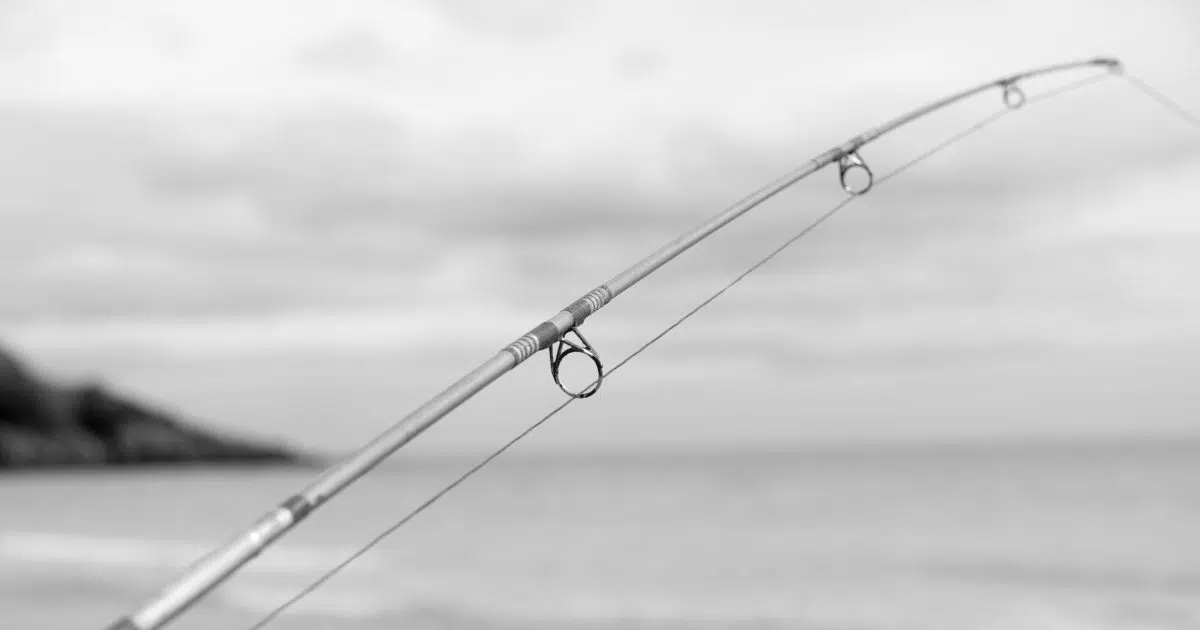 Angling restrictions lifted on Margaree River | 101.5 The Hawk