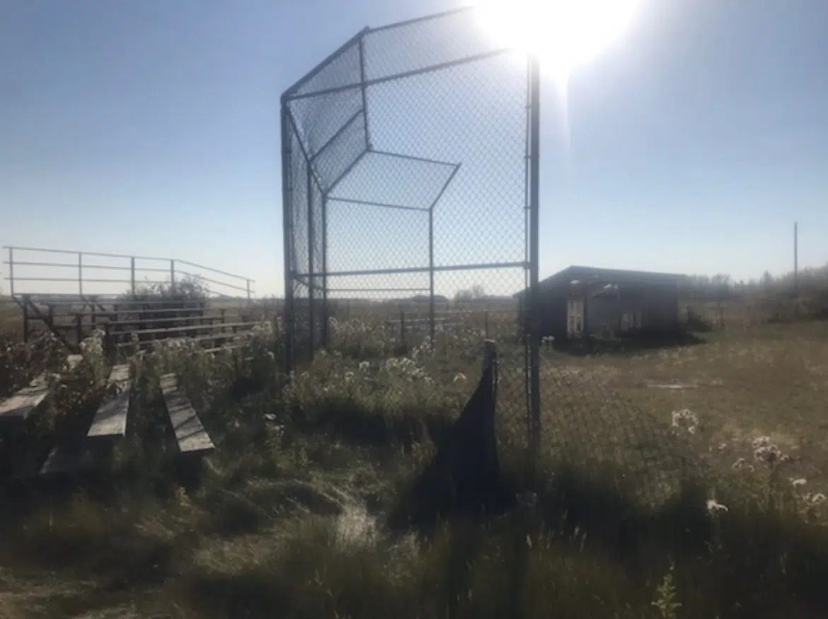 Louis Bull Tribe to receive funding from Toronto Blue Jays for new ...