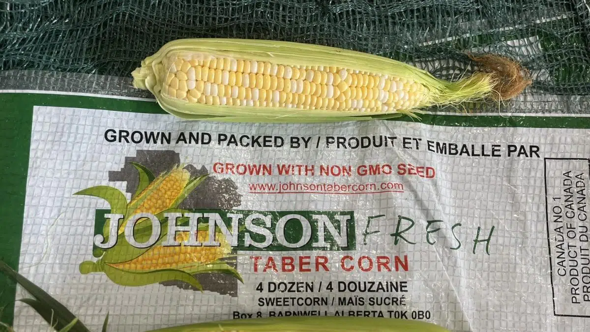 Taber corn stands open across Central and Southern Alberta | 89.3 The Raven