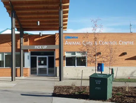 Animals seized from South Edmonton residence | 89.3 The Raven