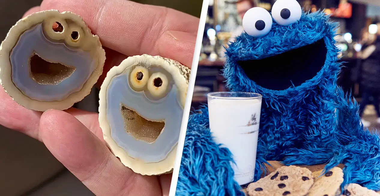 Geologist Finds Rare “Cookie Monster” rock | MY96 FM
