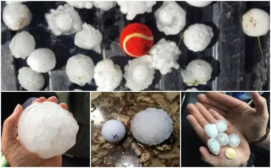 Half-inch hail damages Sask crops as harvest gets underway | 620 CKRM ...