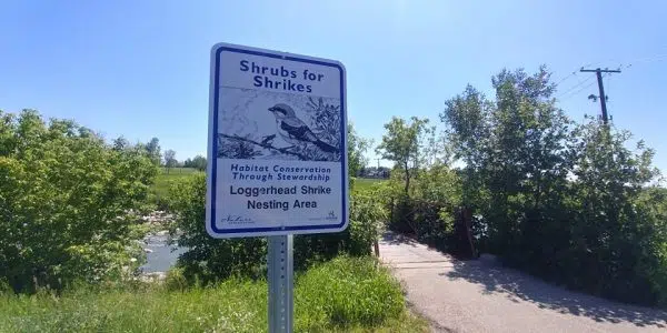 City Of Regina Sign