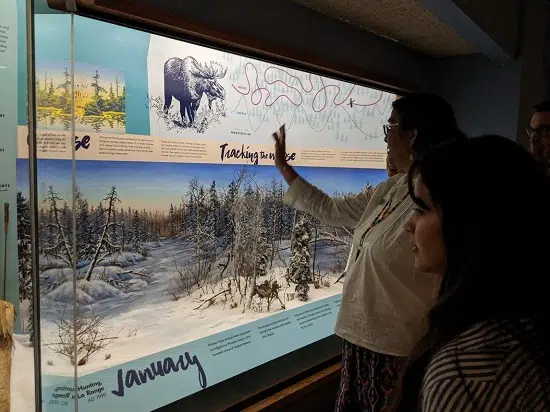 Royal Saskatchewan Museum Exhibits