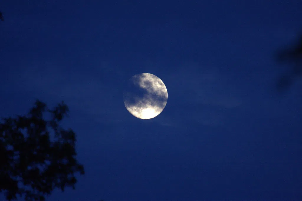 Residents invited to see unique talent and art at the first Winter Moon ...