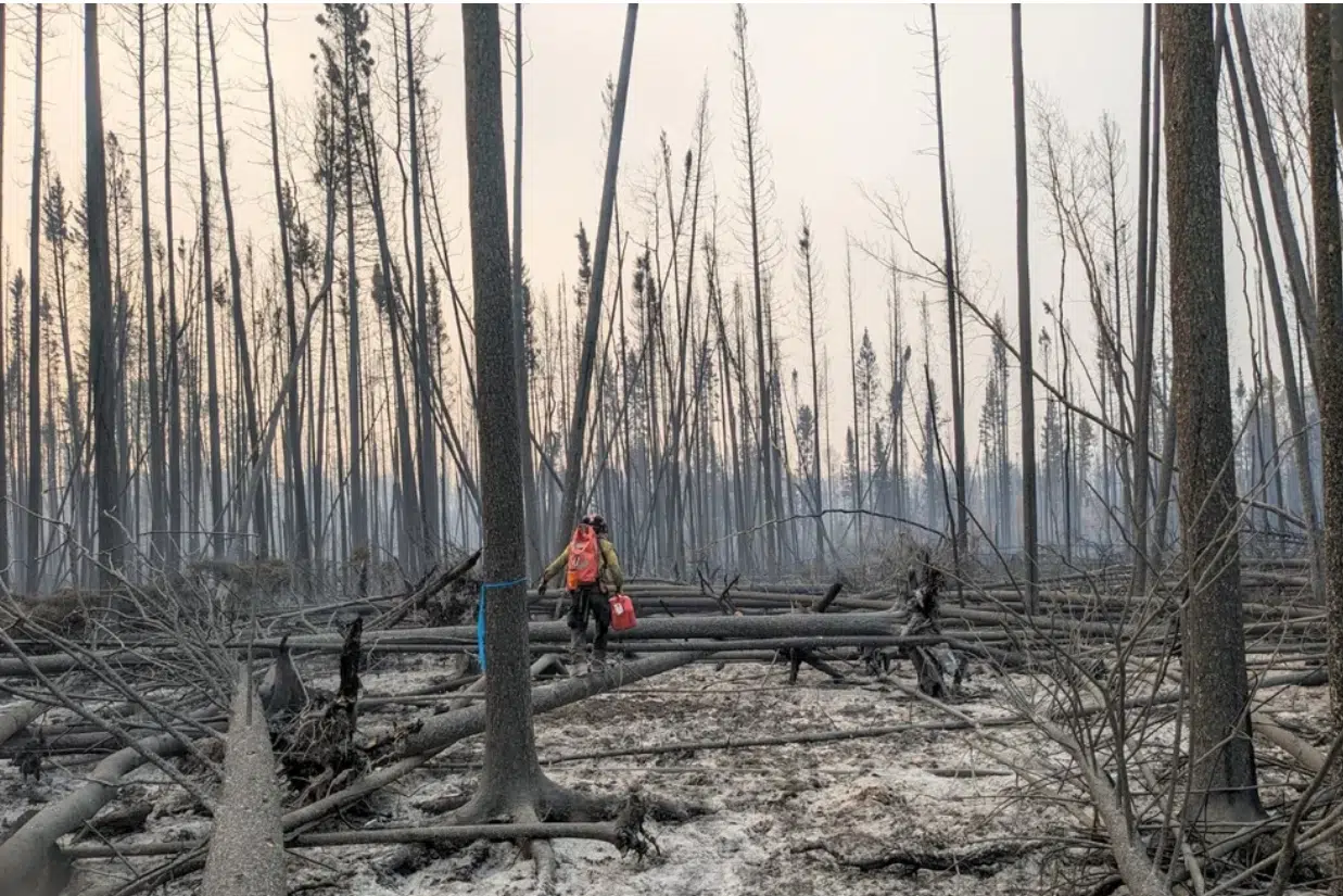 Fort Chipewyan Fire named Rocky River Fire | 100.5 CRUZ FM