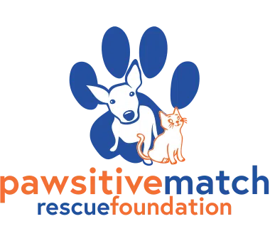 The Pawsitive Match Rescue Foundation | WILD 953 - Calgary's Hit Country