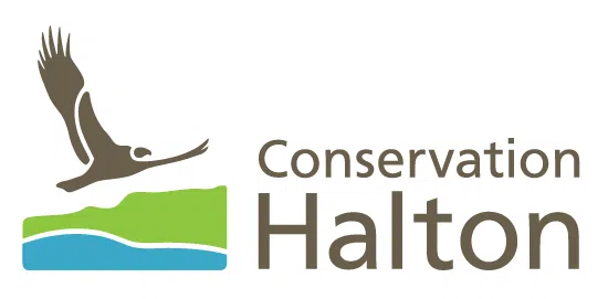 Conservation Halton Releases Flood Outlook Statement | FM101 Milton Now