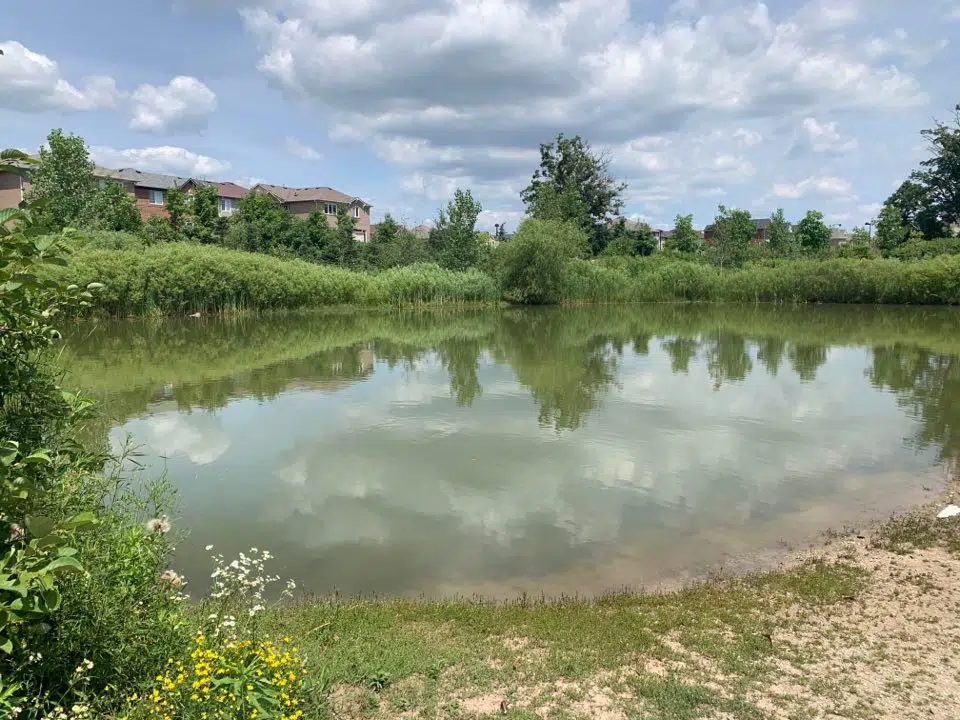 UPDATE: Town of Milton and Mattamy Homes comment on recent spill in ...