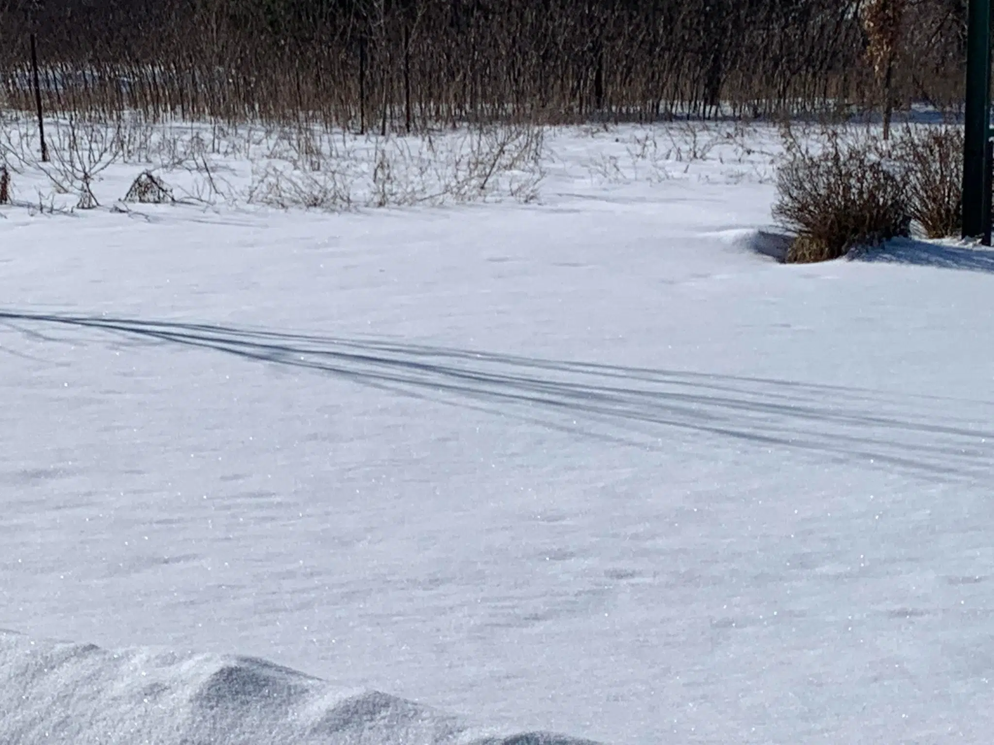 Environment Canada is warning of incoming snow storm | FM101 ...