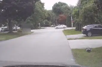 Halton Police share video of driver ignoring stop sign | FM101 ...