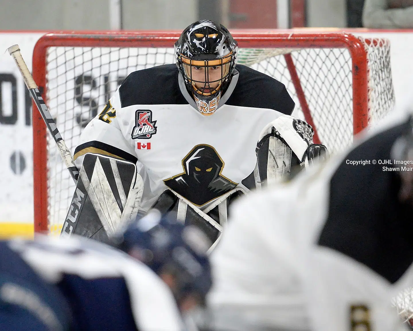 PREVIEW: Milton Menace look to rebound with game against Collingwood ...