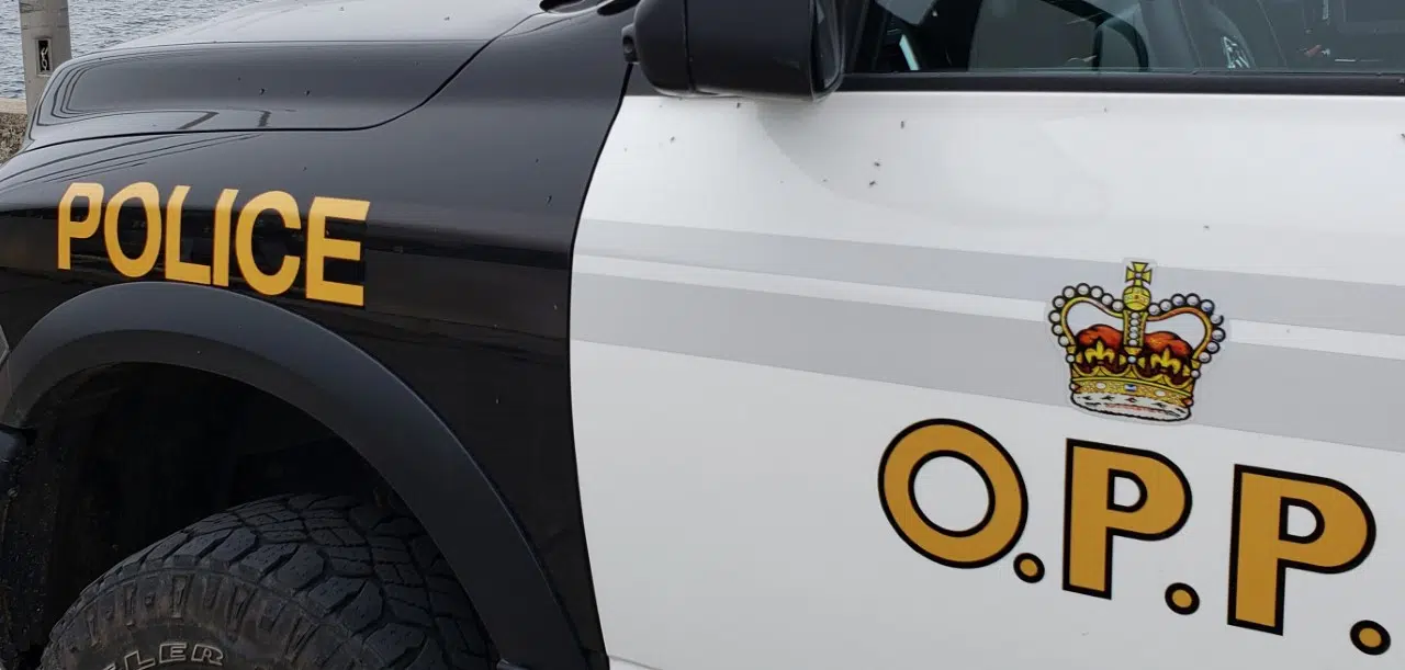 Woman manages to escape man after being pulled into car; OPP now on ...