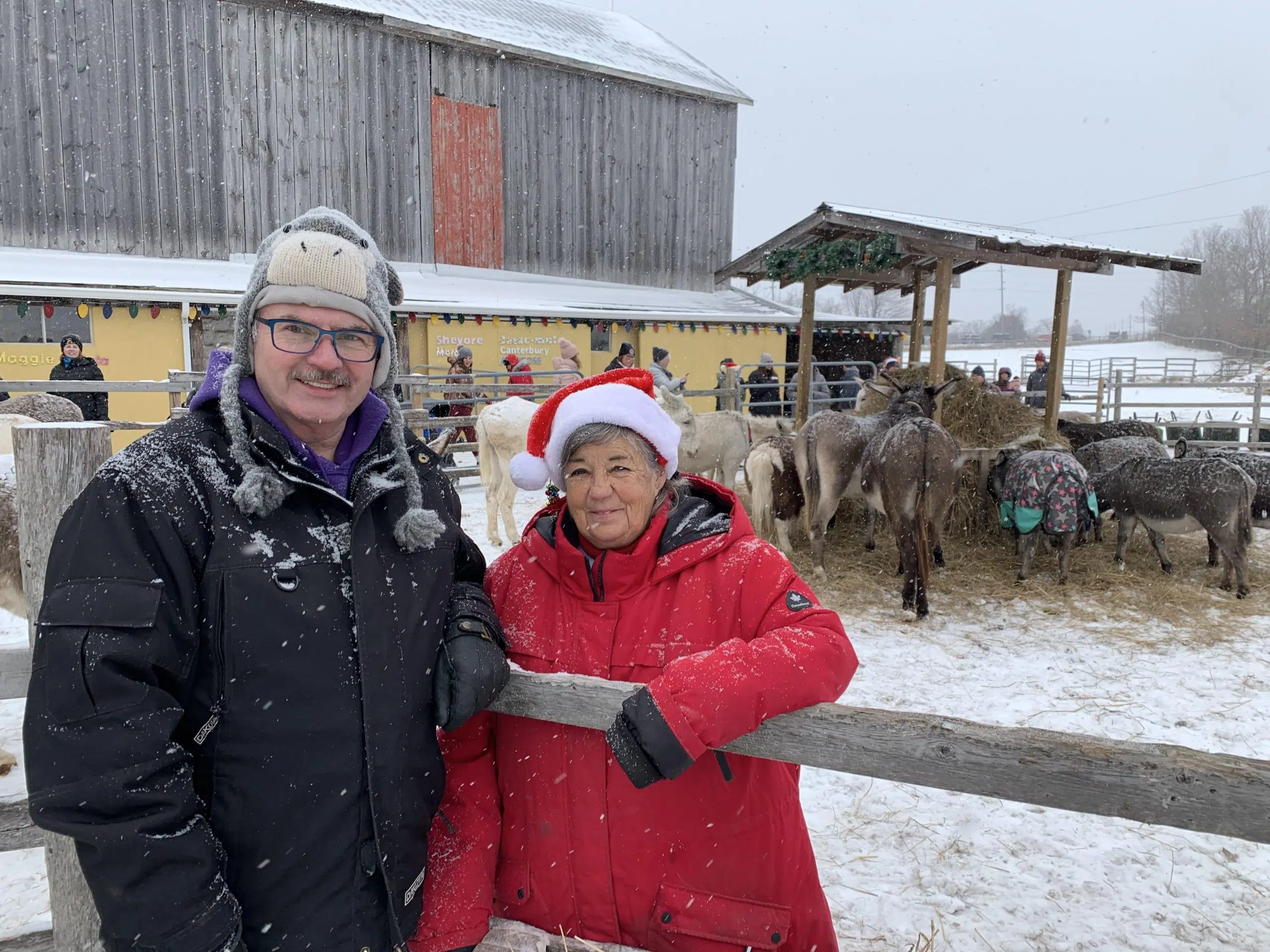 COMMUNITY SPOTLIGHT: Caroling with the donkeys helps raise money for ...
