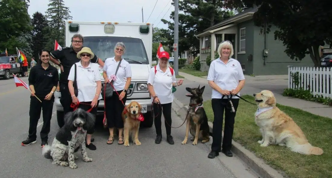 COMMUNITY SPOTLIGHT: Visit with the St John Ambulance Therapy Dogs ...