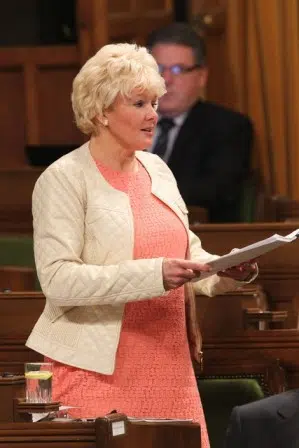 MP Cheryl Gallant says Liberal Throne Speech lacking substance for this riding | 104.9 Pembroke ...