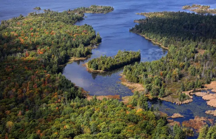 Ottawa Valley documentary to hit the big screen in 2021 | 104.9 ...