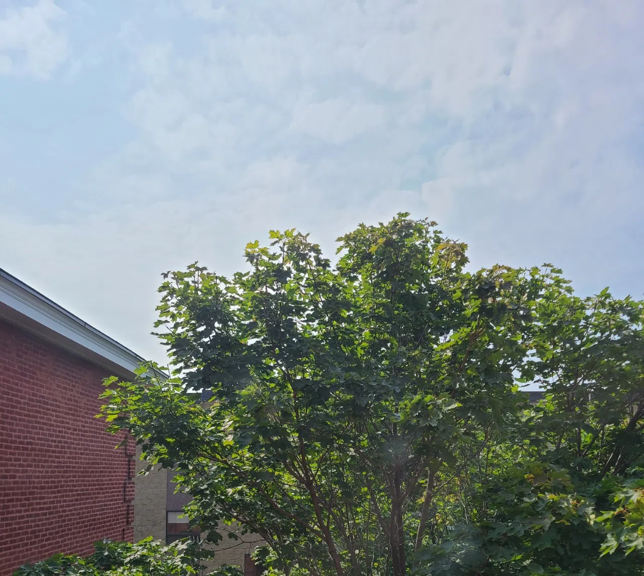 Hot and humid weather over the Ottawa Valley to start the week | 104.9 ...