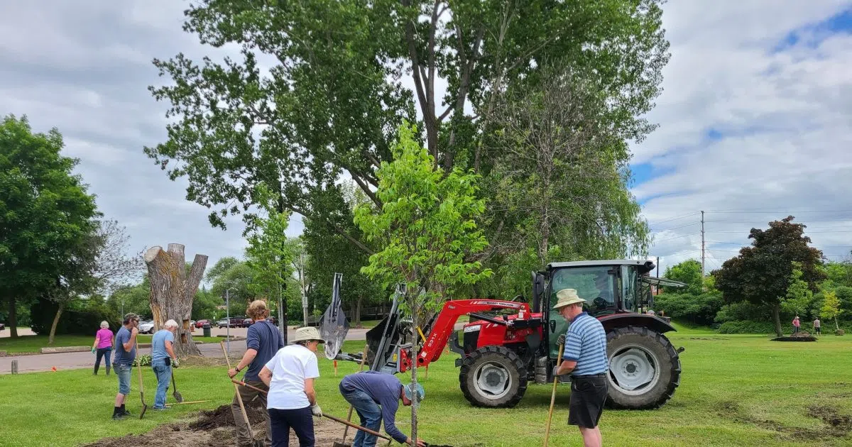 Volunteer “army” helps plant 26 trees at arboretum in Pembroke’s ...