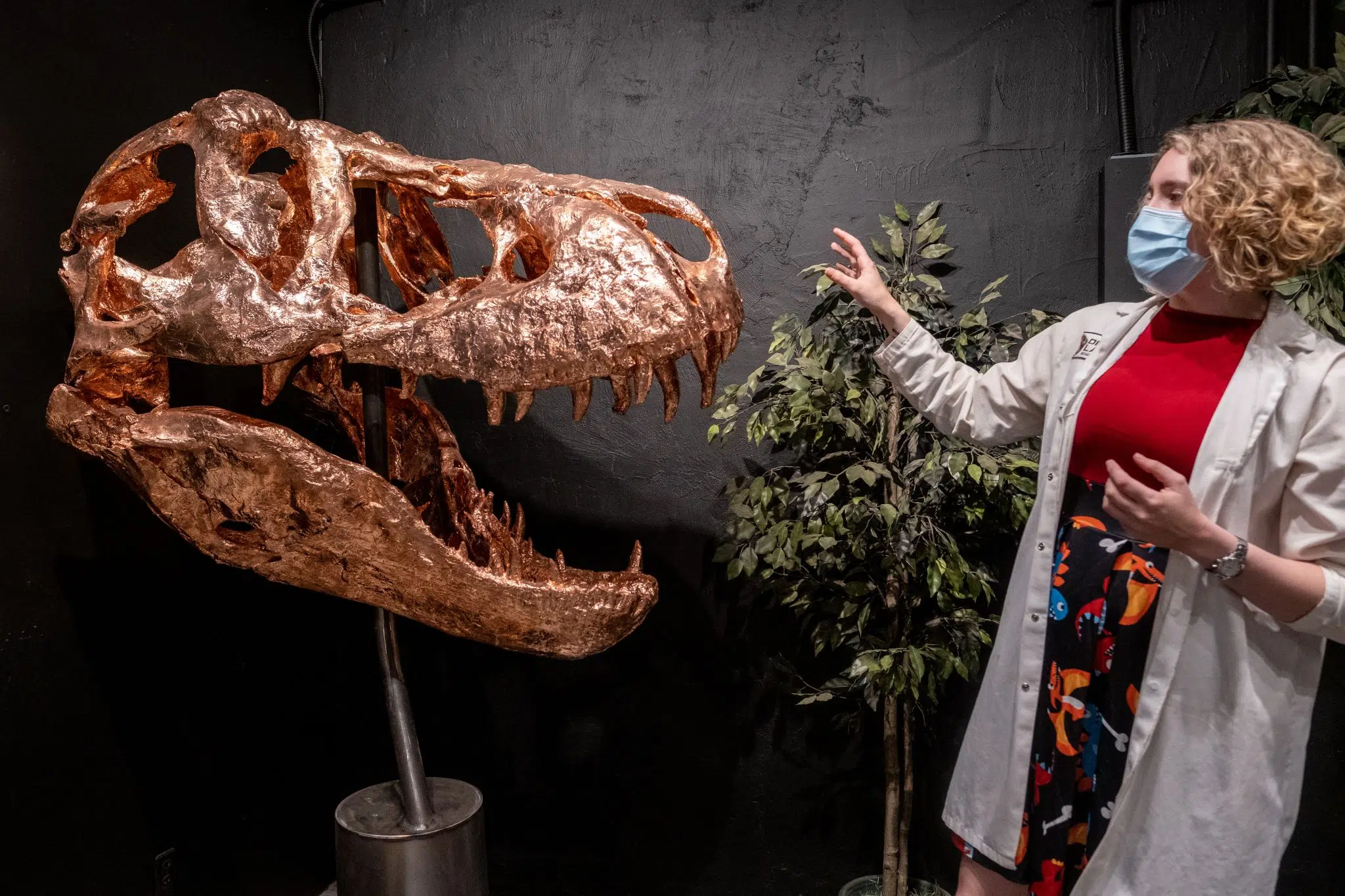 Bud’s Weekly Geek-out! 20200902 – Dino Lab Inc’s Spinosaurus arm | The ...