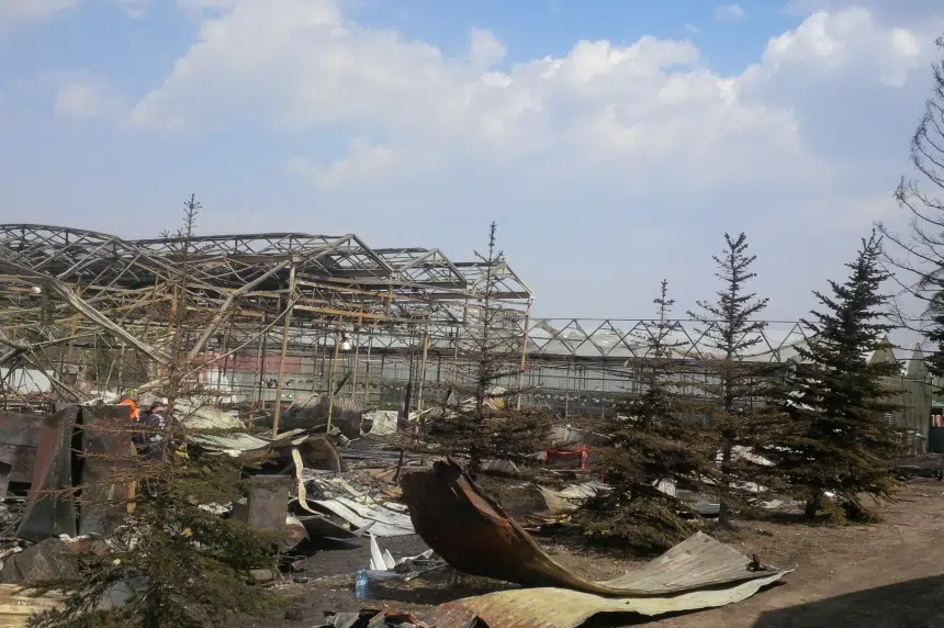 Fire destroys Parkland Greenhouse north of Yorkton | 980 CJME