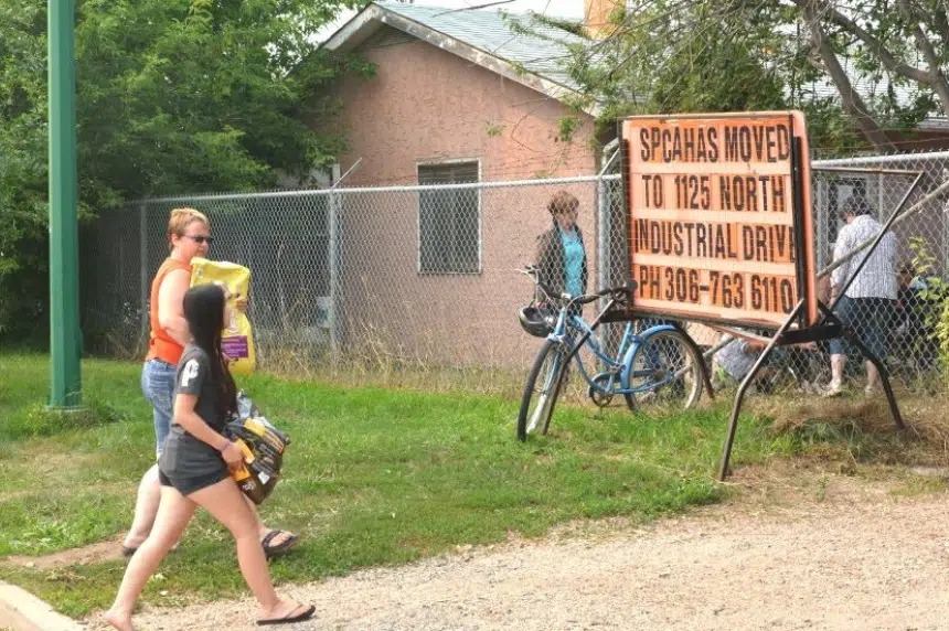 Animals of evacuees in Prince Albert being housed at SPCA | 980 CJME