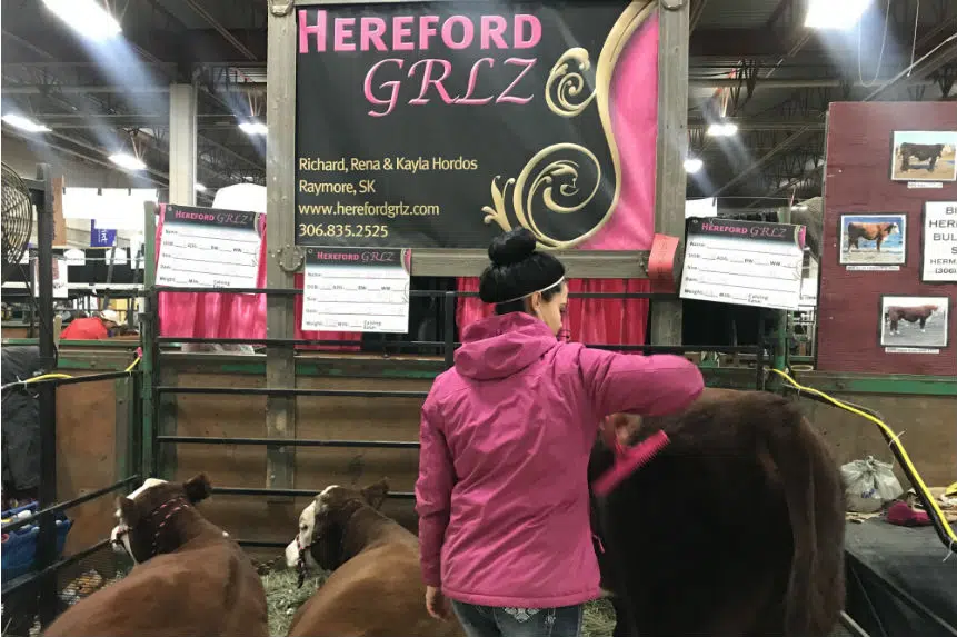 ‘Everything pink:’ cattle stall turns heads at Agribition | 980 CJME