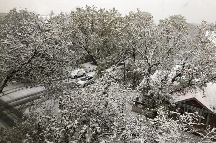 Snow, cold temperatures to stick around Tuesday: Environment Canada ...