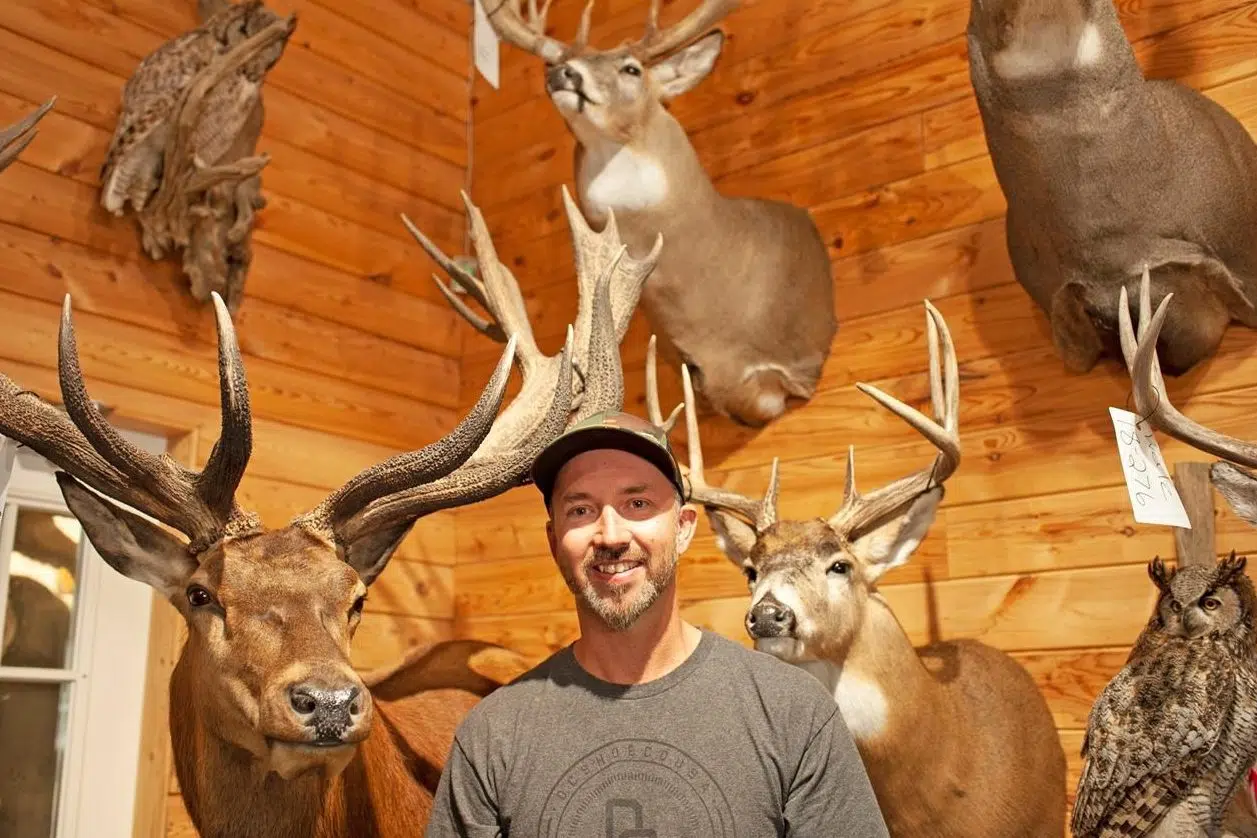 Meet the taxidermist who’s building a bigger rack for Mac the Moose ...