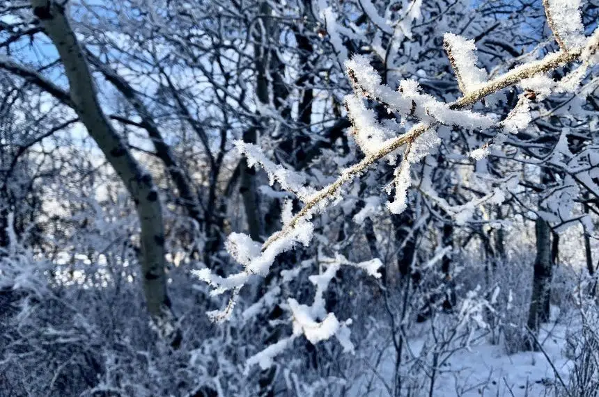 One day longer for Saskatchewan cold snap | 980 CJME