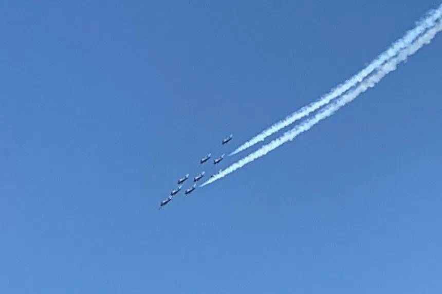 Canadian Forces Snowbird plane crashes in B.C. | 980 CJME
