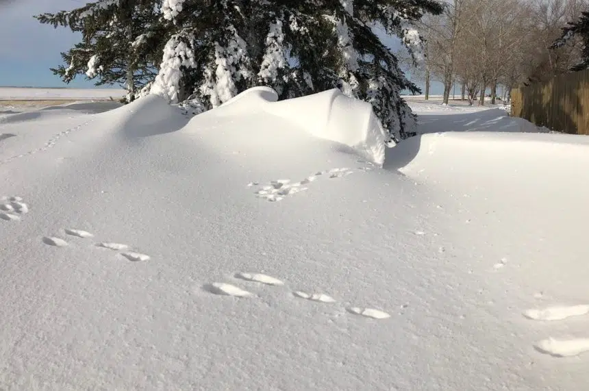 More snow coming up for parts of Saskatchewan: Environment Canada | 650 ...