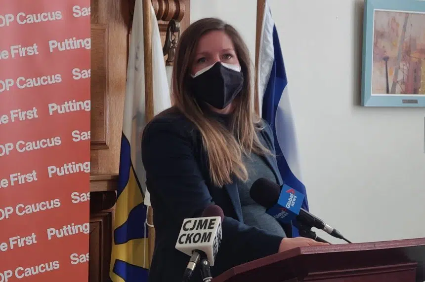 NDP releases report on housing and poverty, calls on government to do ...