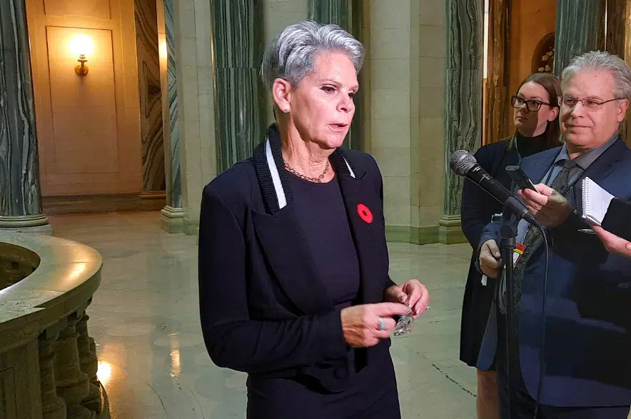 70 officers in 2026: Province gives more details about marshals service ...