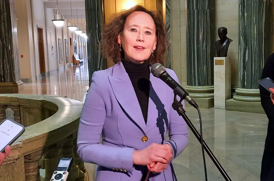 Clean electricity standards could be candidate for Sask. First Act ...