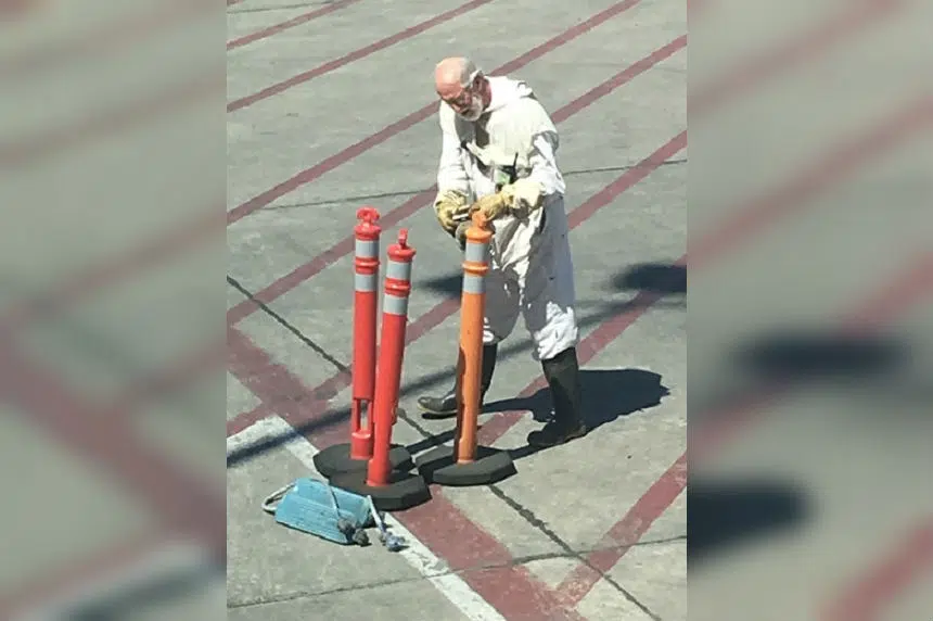 Bees delay flight at Saskatoon airport | 650 CKOM