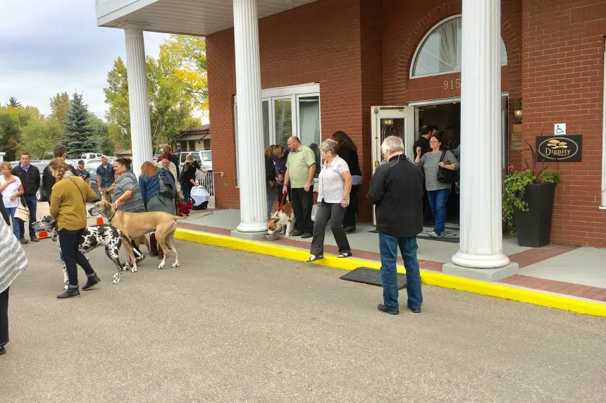 Pet lovers come out to pay respects for 14 dogs at funeral service ...