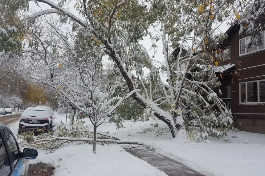 UPDATE: Saskatoon gets record-breaking snowfall ahead of Thanksgiving ...