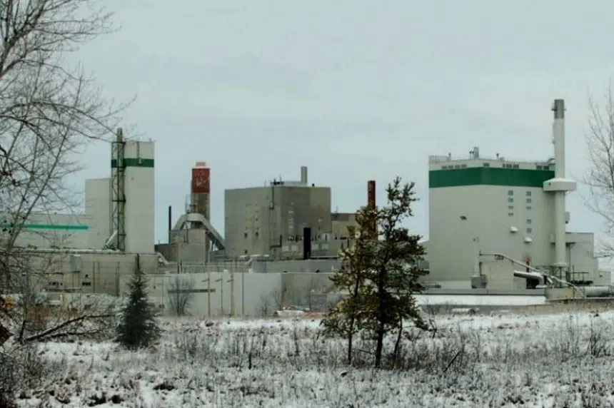 Owner of Prince Albert pulp mill buy previous owner, Domtar for $3 ...