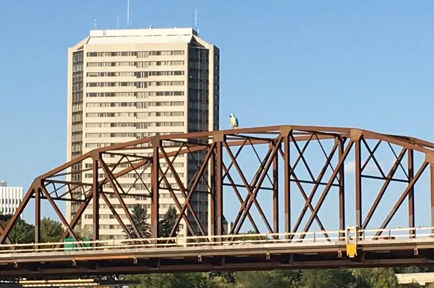 Traffic Bridge parrot mystery continues | 650 CKOM