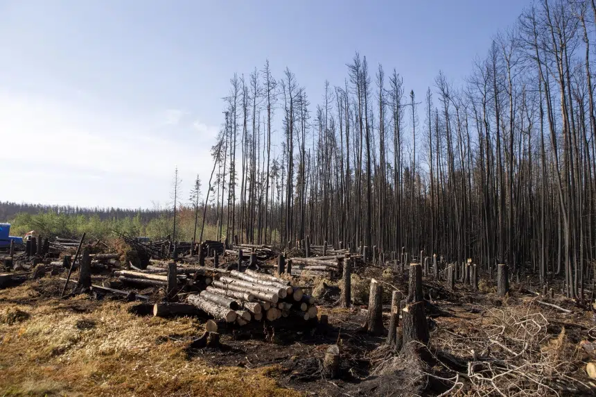 MAP: See how the Saskatchewan wildfires spread | 650 CKOM