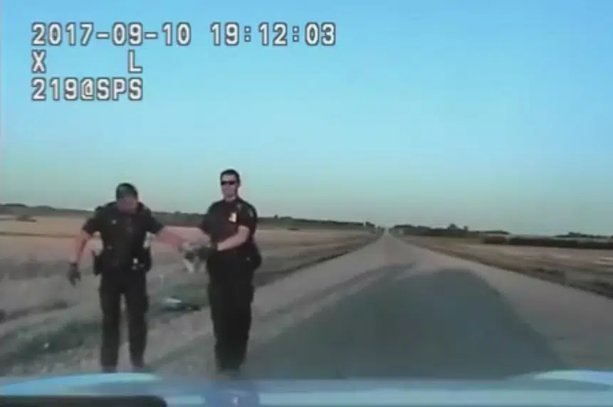 ‘It’s enormous’: Dashcam video shows police capturing snake | 650 CKOM