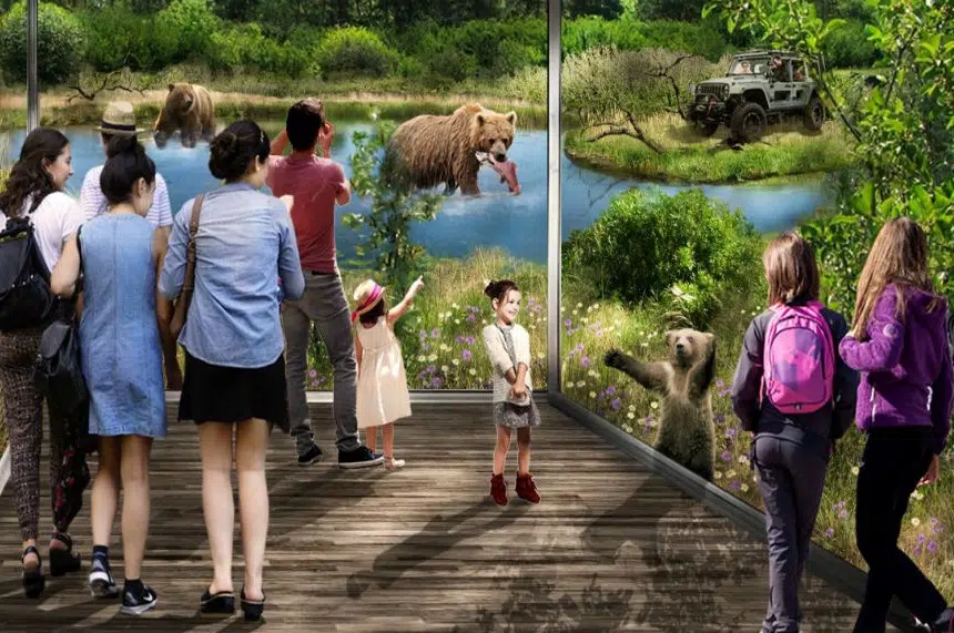 Saskatoon zoo manager envisions safari redesign in new plans | 650 CKOM
