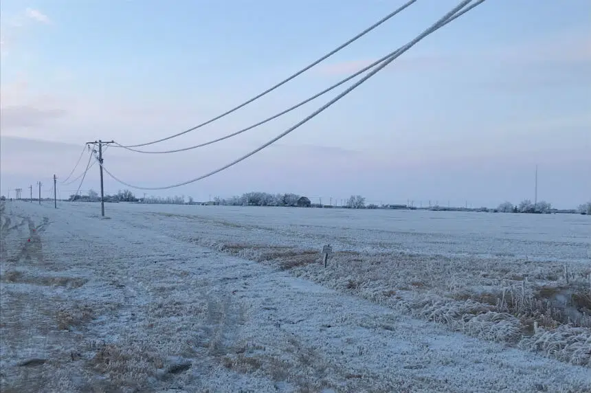 SaskPower CEO blames worst power outage in 20 years on frost | 650 CKOM